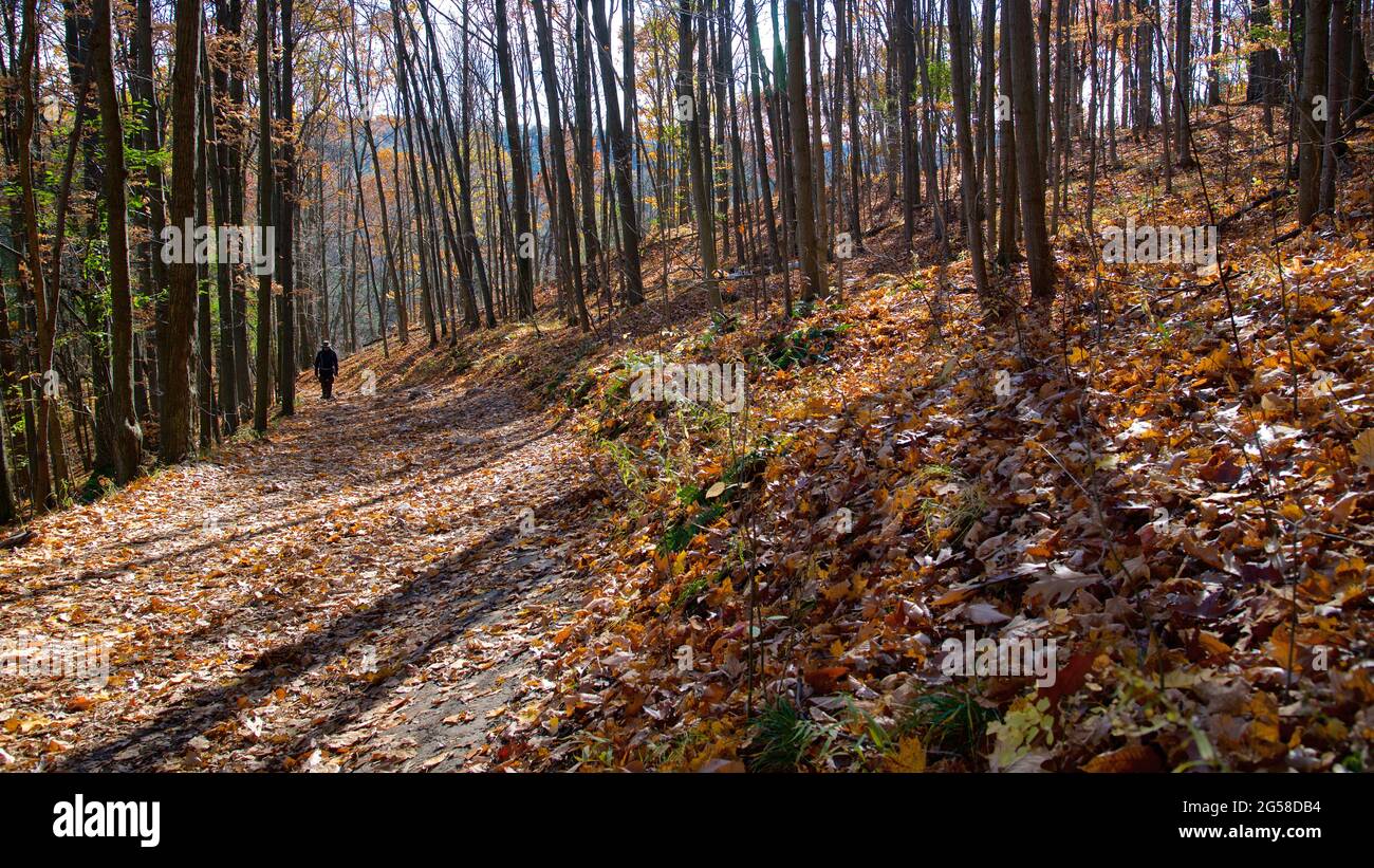 Escursionismo paesaggistico immagini e fotografie stock ad alta ...