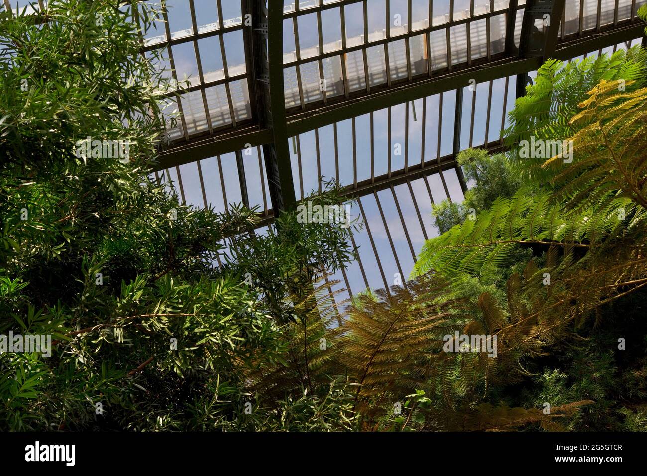 Tetto della veranda immagini e fotografie stock ad alta risoluzione - Alamy