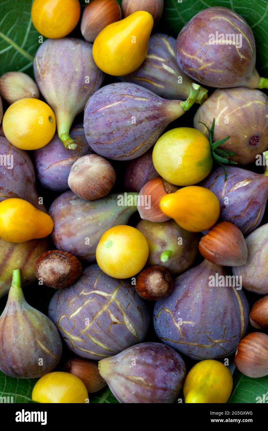 Frutti autunnali immagini e fotografie stock ad alta risoluzione - Alamy