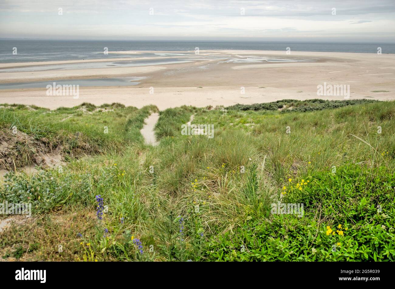 Spiaggia di maasvlakte immagini e fotografie stock ad alta risoluzione ...