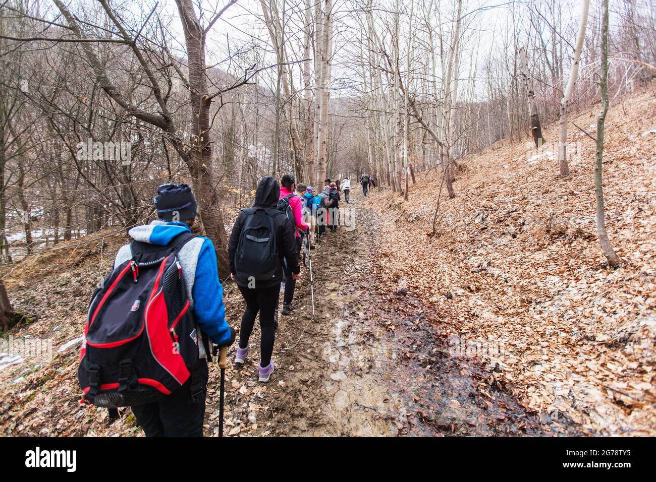 Escursioni, viaggi, stile di vita sano. Gruppo di persone attive con zaino che cammina su una ...