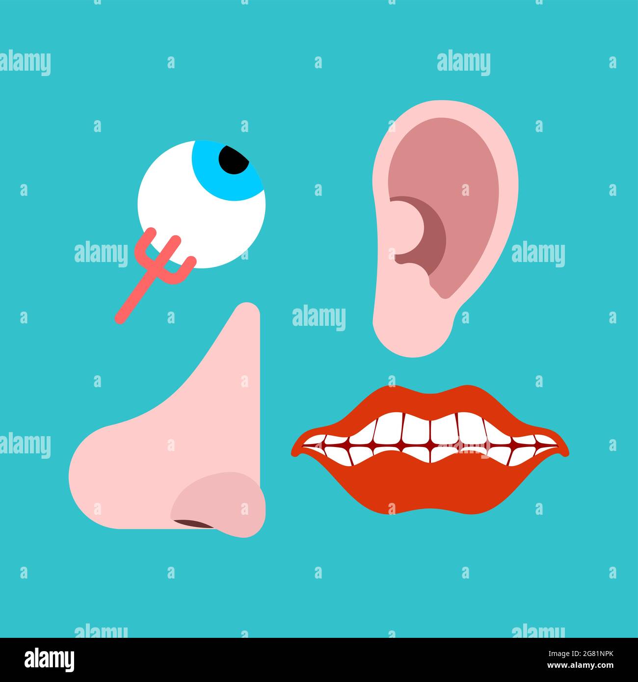 Organi di senso immagini e fotografie stock ad alta risoluzione - Alamy