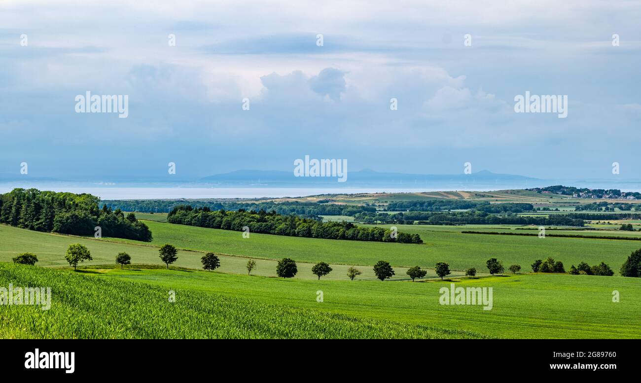 Campi di campi agricoli immagini e fotografie stock ad alta risoluzione ...