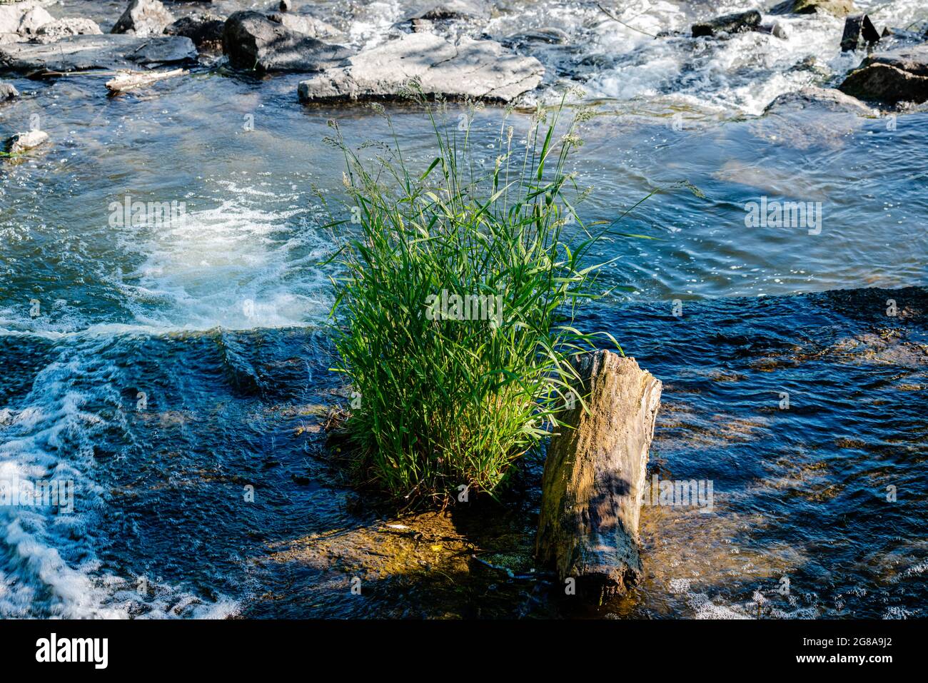 Aironi bianchi immagini e fotografie stock ad alta risoluzione - Alamy