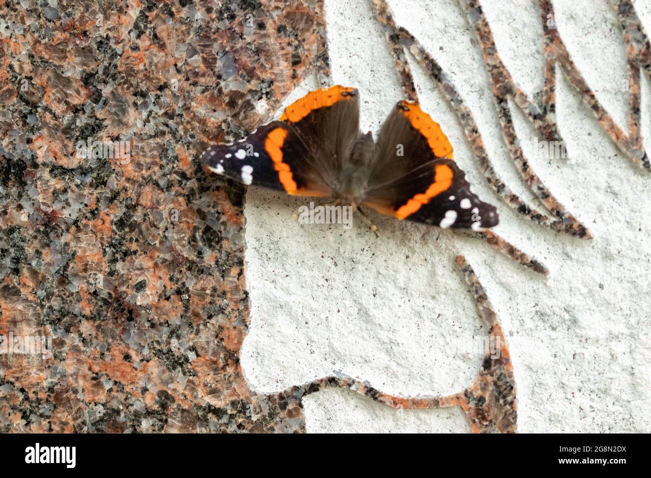 Bella Foto Di Sfondo Del Desktop Immagini e Fotos Stock - Alamy
