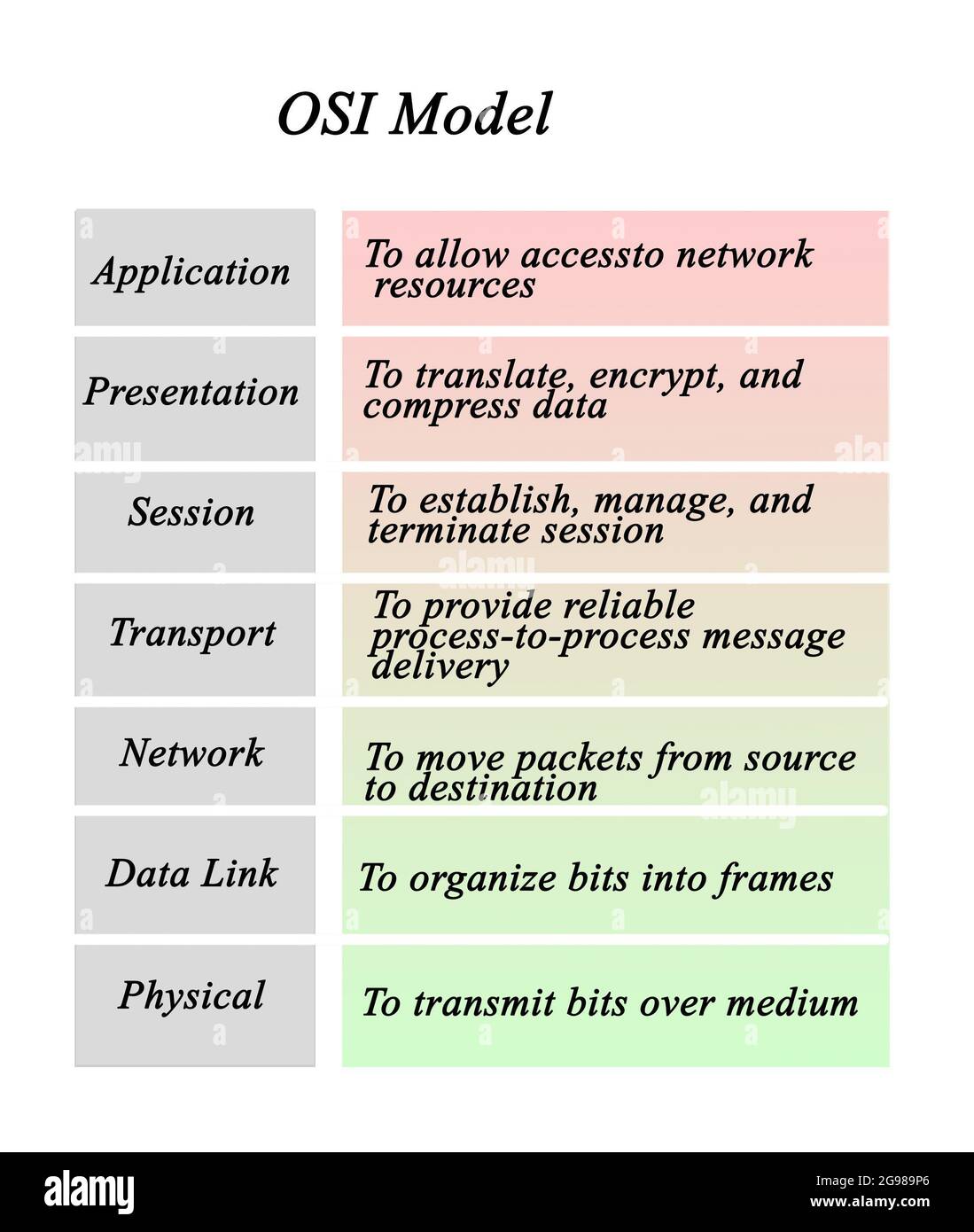 Modello osi immagini e fotografie stock ad alta risoluzione - Alamy