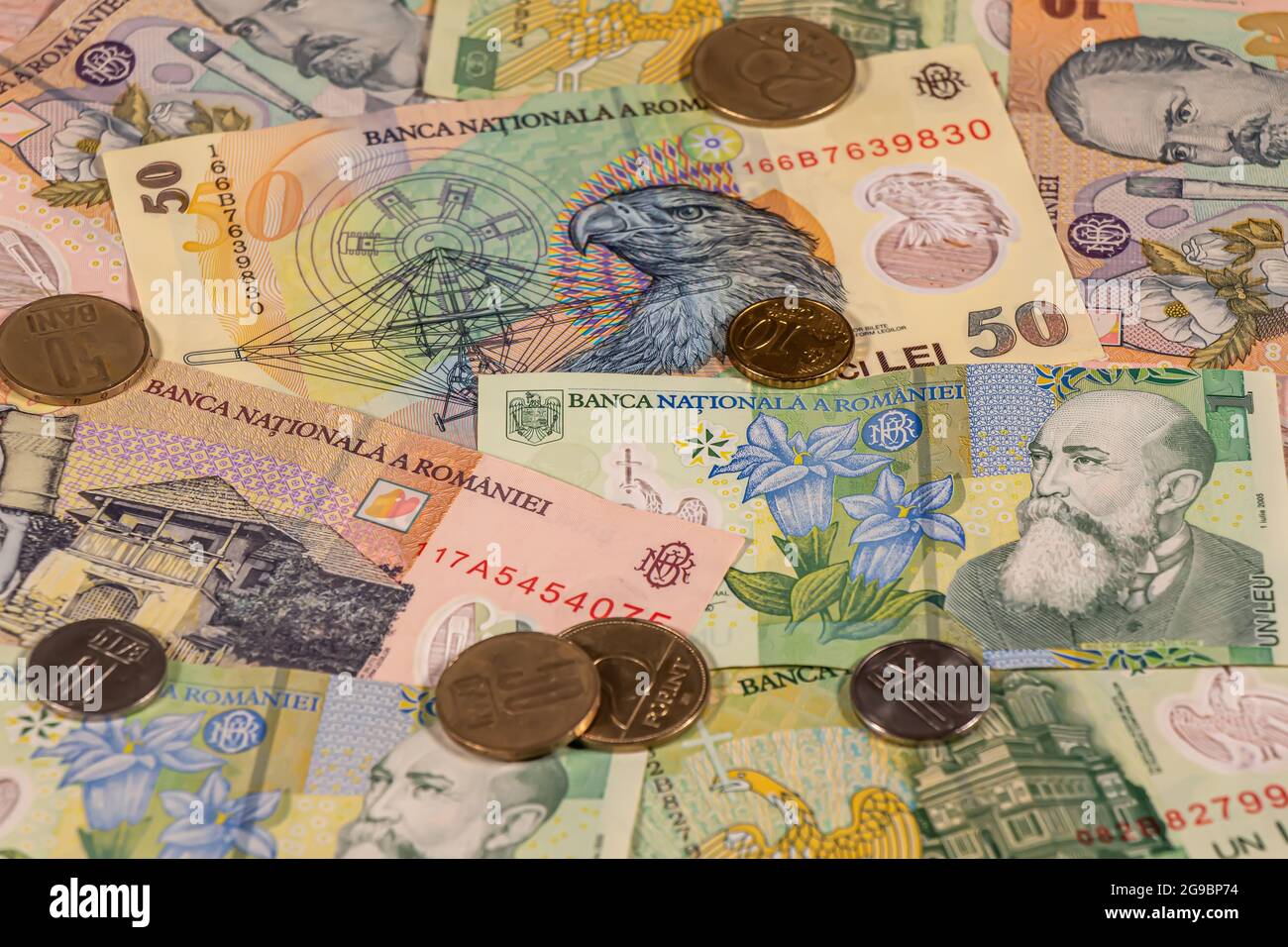 Leu rumeno immagini e fotografie stock ad alta risoluzione - Alamy