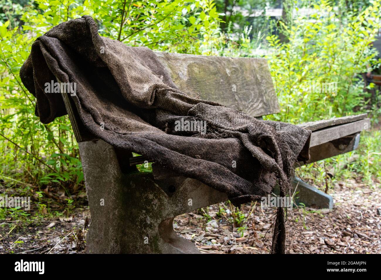 Pianta di iuta immagini e fotografie stock ad alta risoluzione - Alamy