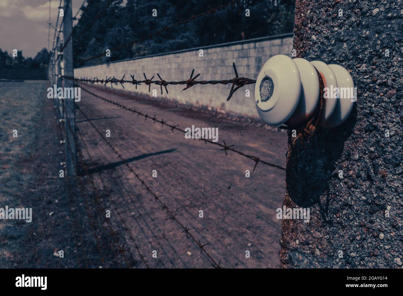 Isolamento in ceramica di una recinzione elettrica nel campo di ...