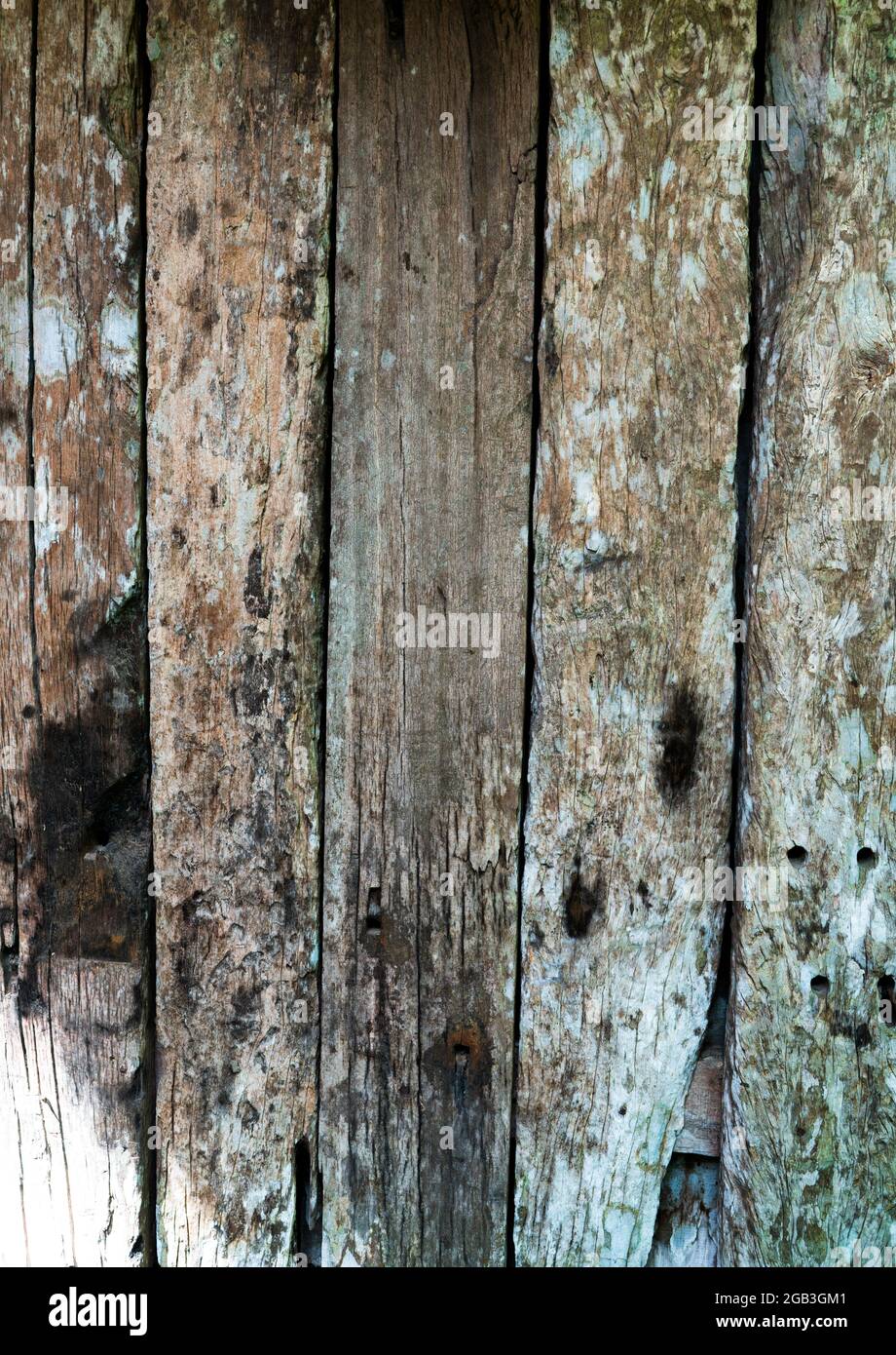 Legname marcio o legno immagini e fotografie stock ad alta risoluzione ...