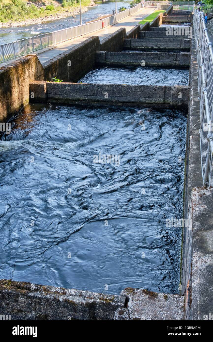 Salmon ladder pitlochry dam hydro immagini e fotografie stock ad alta ...