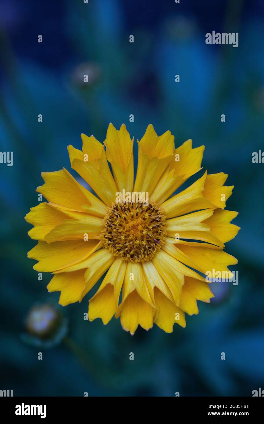Jethro o reuel immagini e fotografie stock ad alta risoluzione - Alamy