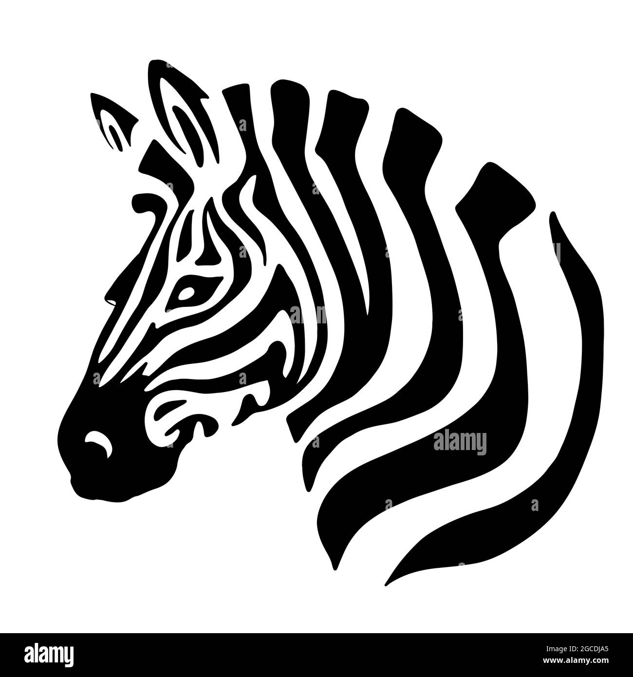 disegno di una testa zebra. Illustrazione di animali in bianco e nero ...