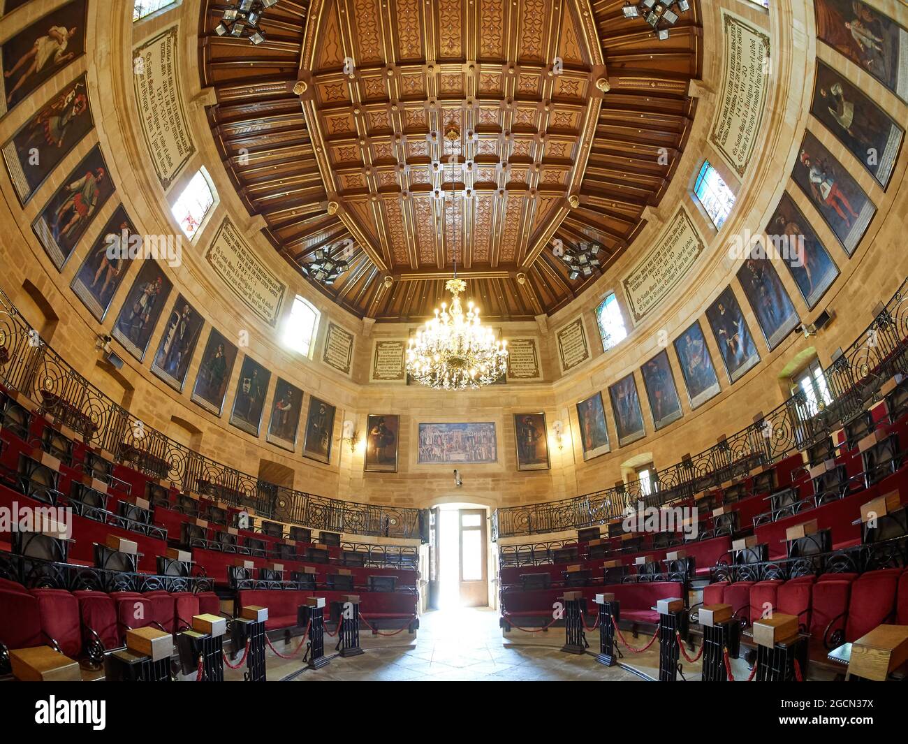 Guernica tree immagini e fotografie stock ad alta risoluzione - Alamy
