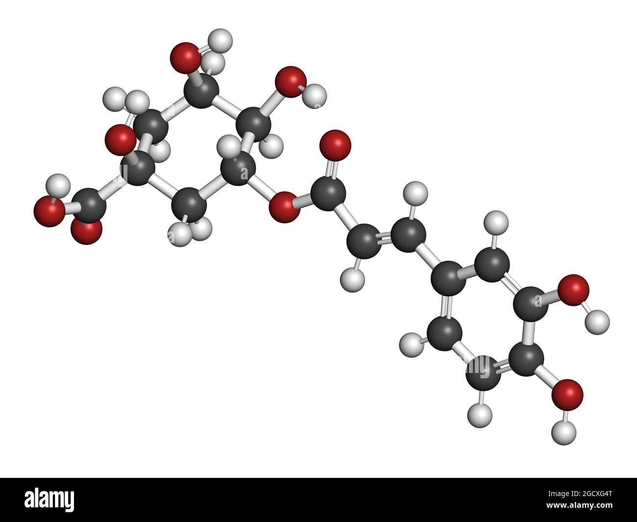 Acido clorogenico immagini e fotografie stock ad alta risoluzione - Alamy