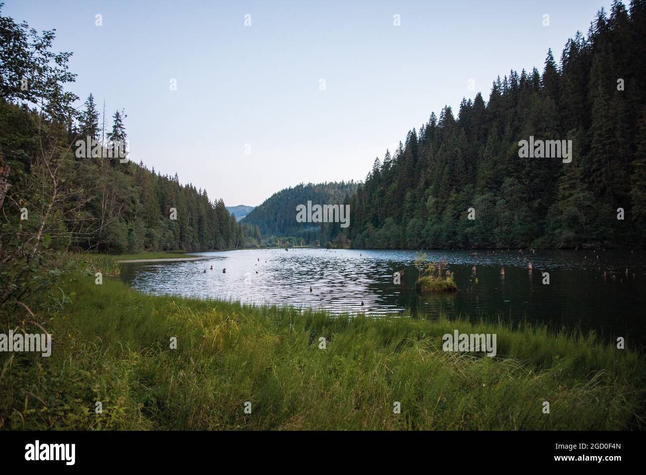 Lacul rosu immagini e fotografie stock ad alta risoluzione - Alamy