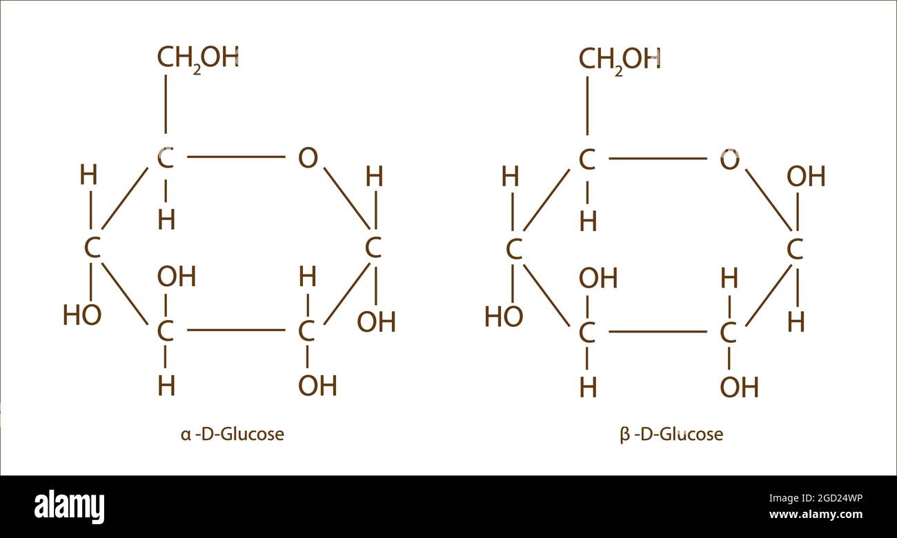 Struttura chimica del glucosio alfa d e del glucosio beta d, formula ...