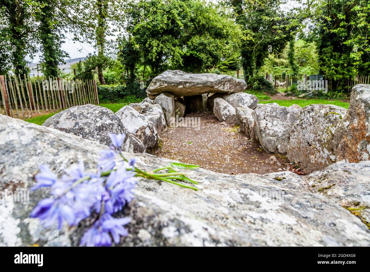 Dolmen irlandese immagini e fotografie stock ad alta risoluzione - Alamy