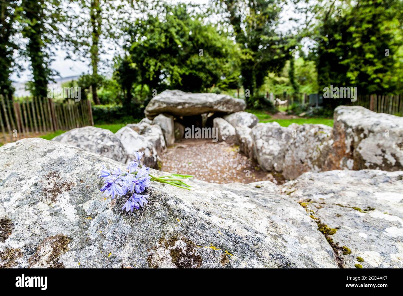 Dolmen irlandese immagini e fotografie stock ad alta risoluzione - Alamy
