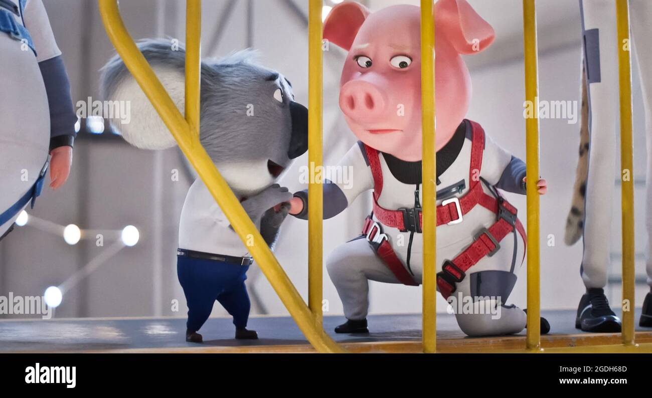 STATI UNITI. Una scena da (C)Universal Pictures nuovo film: Sing 2 ...
