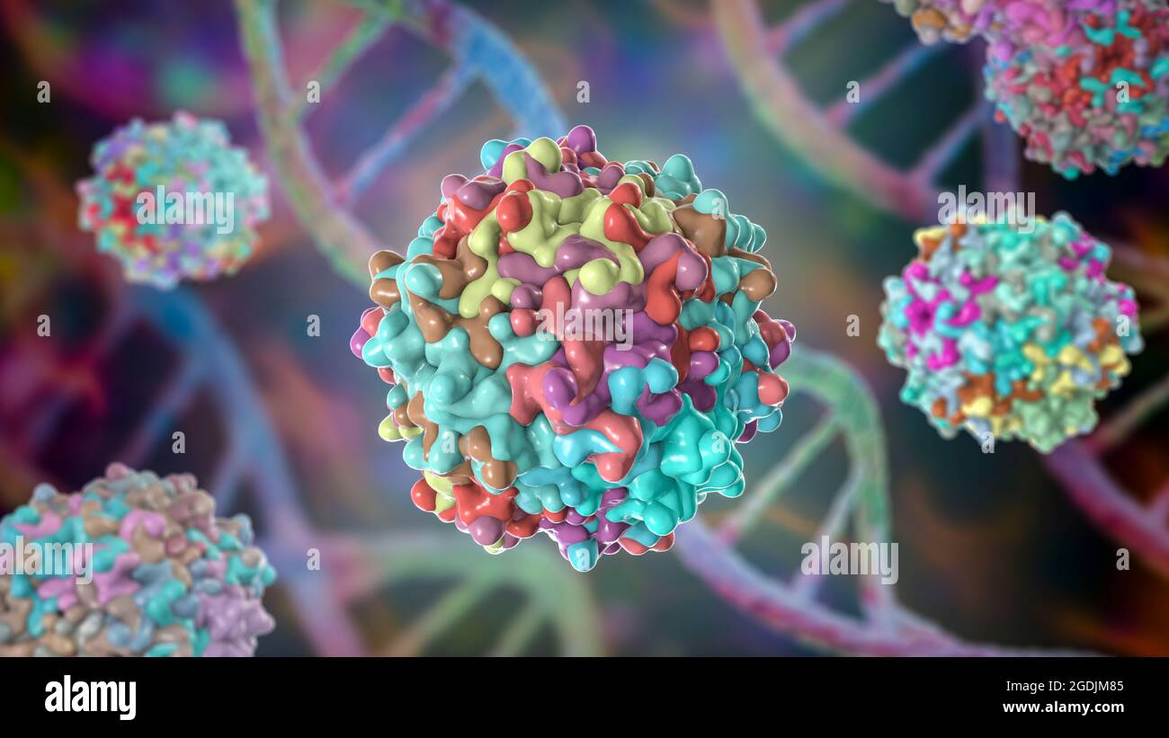 Adeno virus immagini e fotografie stock ad alta risoluzione - Alamy