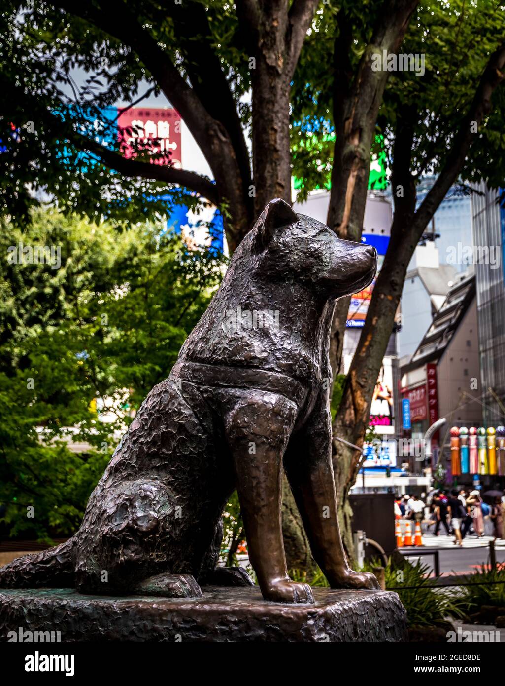 Ingresso hachiko immagini e fotografie stock ad alta risoluzione - Alamy