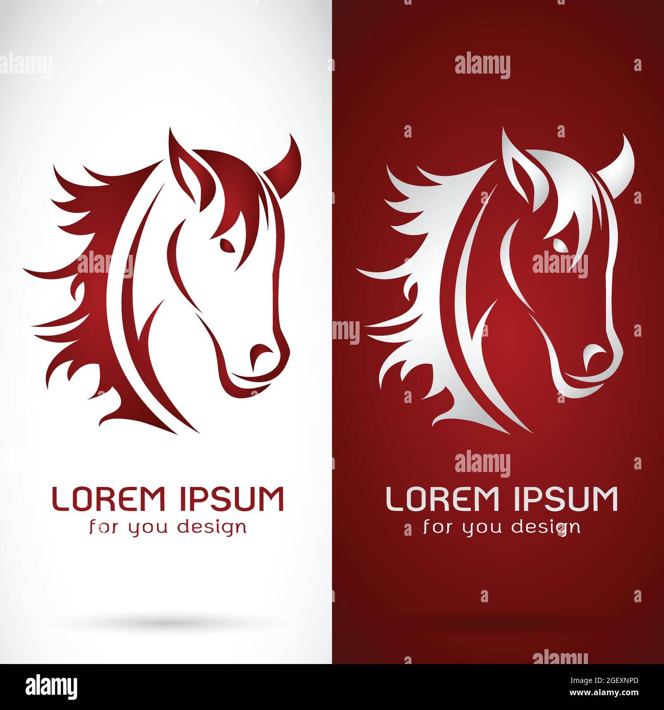 Immagine vettoriale del disegno del cavallo su sfondo bianco e sfondo ...