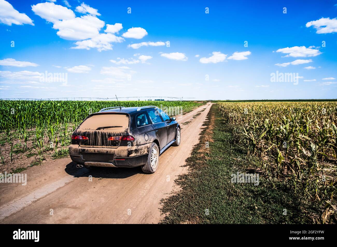 Guida auto su strada polverosa immagini e fotografie stock ad alta ...