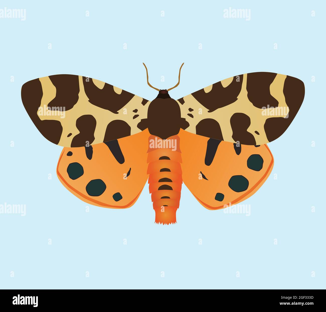 Tiger moth Immagini Vettoriali Stock - Alamy