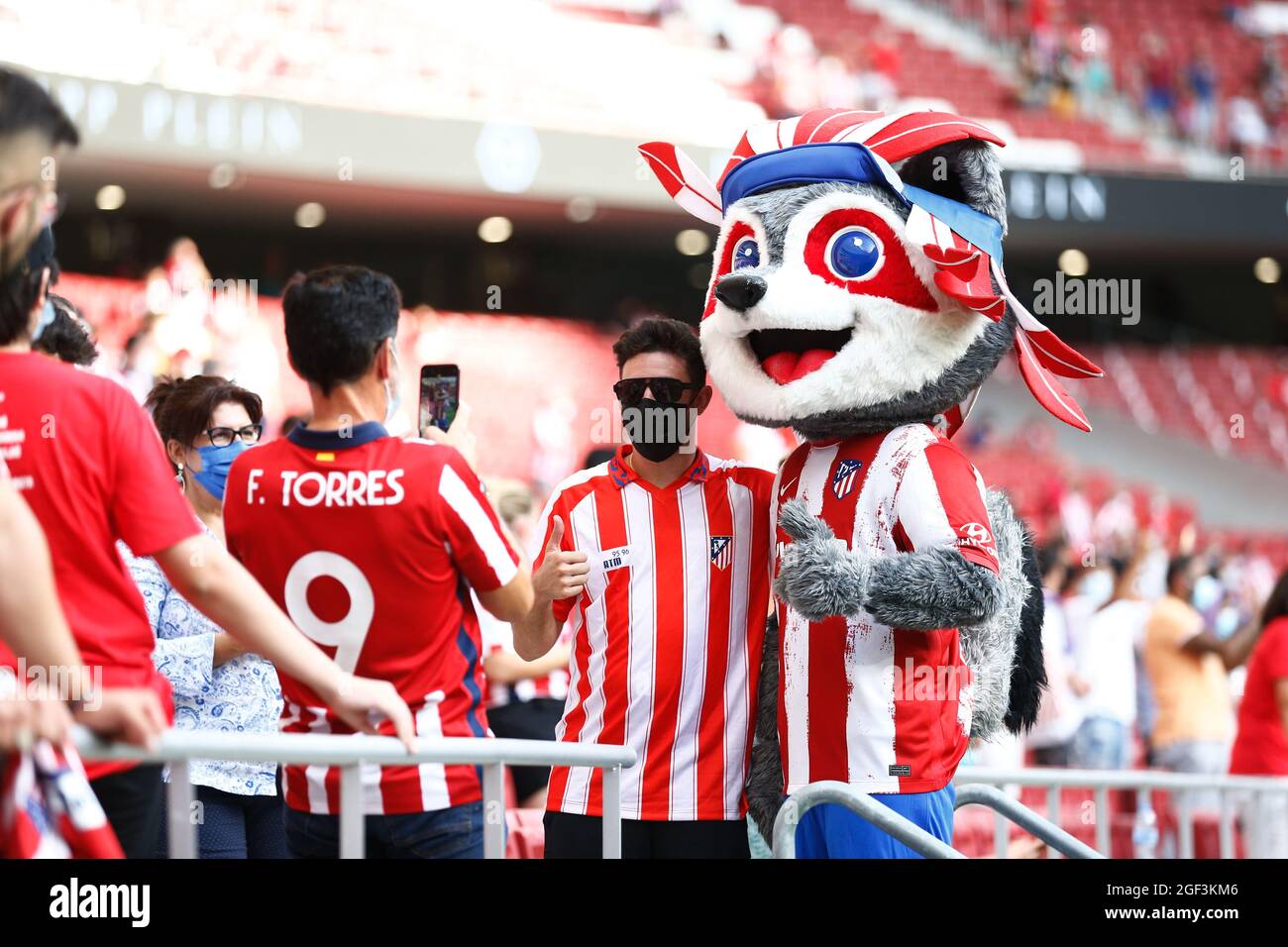 Fan dell'elche immagini e fotografie stock ad alta risoluzione - Alamy