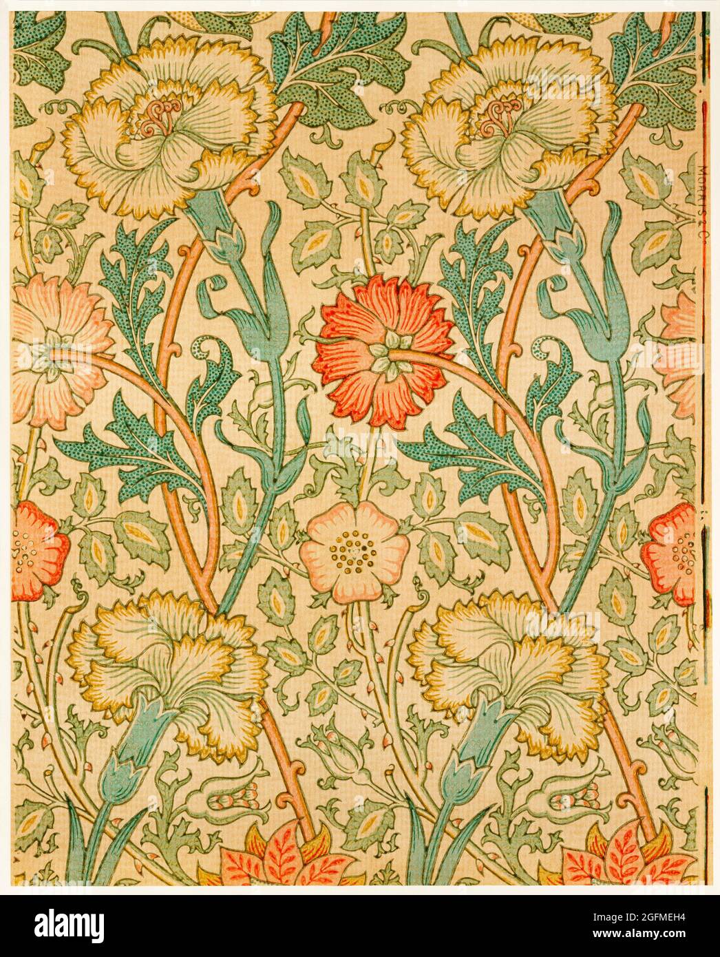 William morris rose immagini e fotografie stock ad alta risoluzione - Alamy