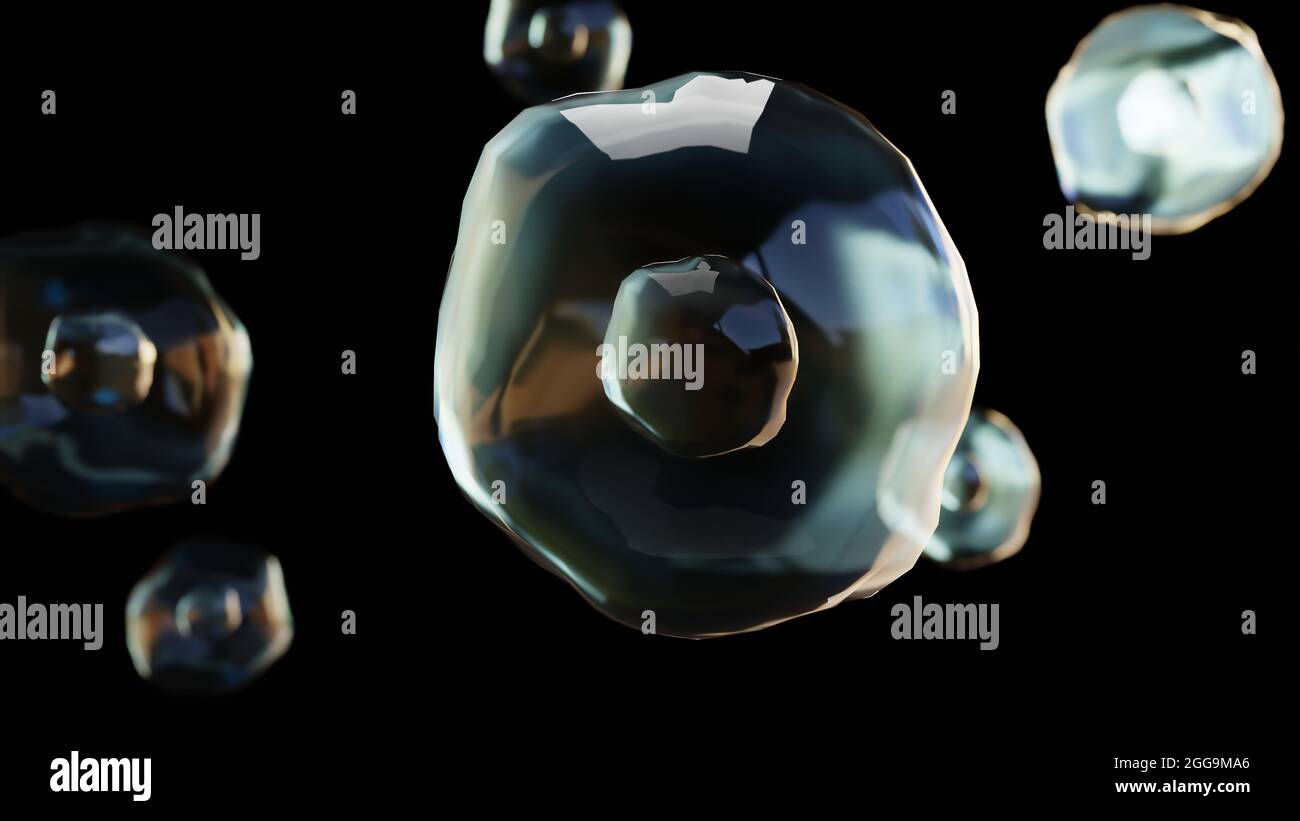 Illustrazione 3d di emocitoblasti, che producono globuli rossi ...
