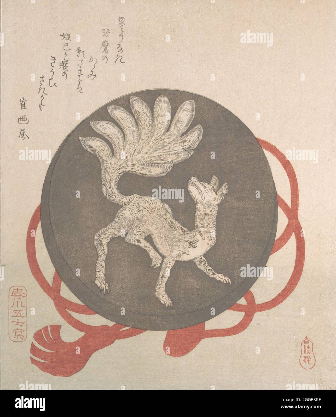 Volpe a nove code immagini e fotografie stock ad alta risoluzione - Alamy