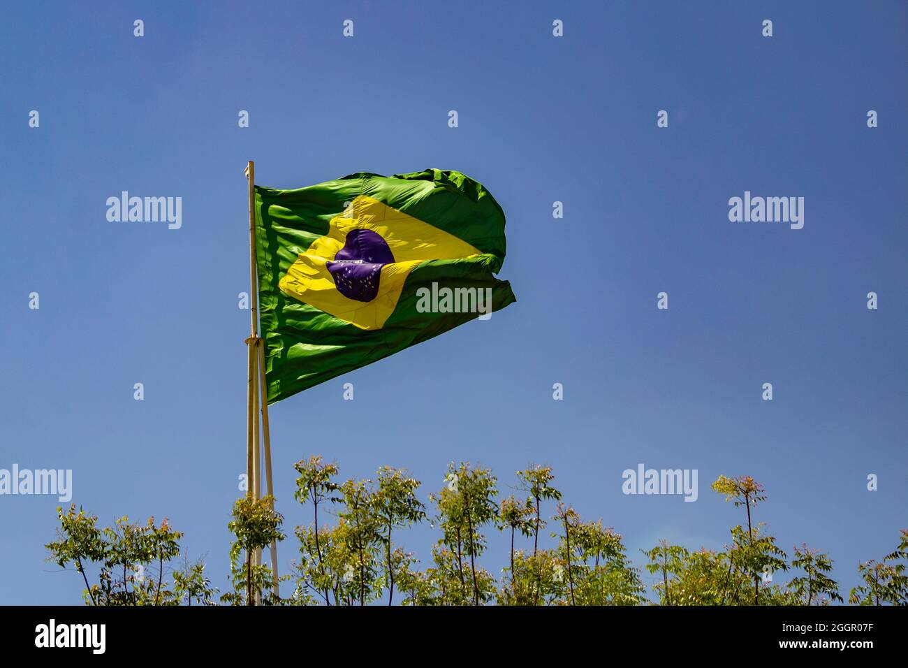 Bandeira do brasil immagini e fotografie stock ad alta risoluzione - Alamy