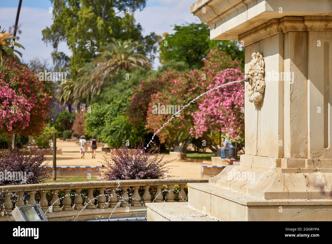 Fontana di sevilla immagini e fotografie stock ad alta risoluzione - Alamy