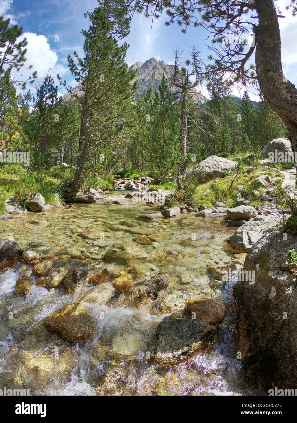 Parchi naturali immagini e fotografie stock ad alta risoluzione - Alamy