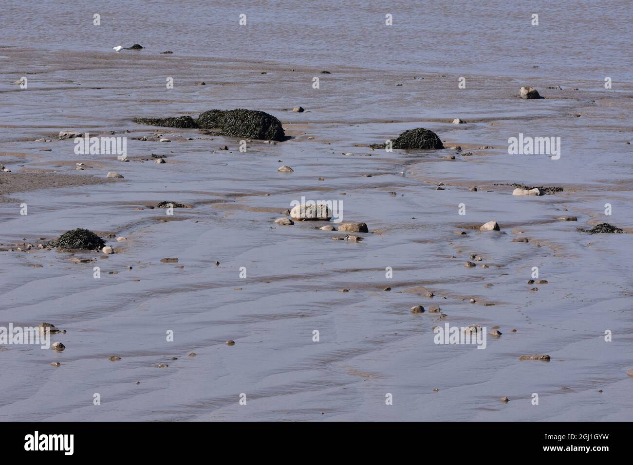 Severn beach 2021 immagini e fotografie stock ad alta risoluzione - Alamy