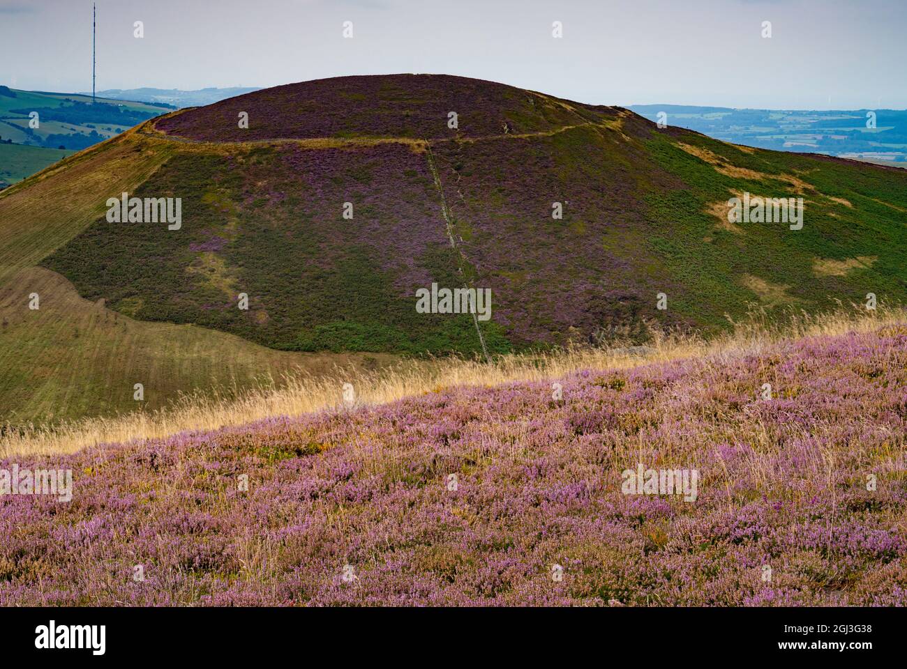 Moel arthur hillfort immagini e fotografie stock ad alta risoluzione ...