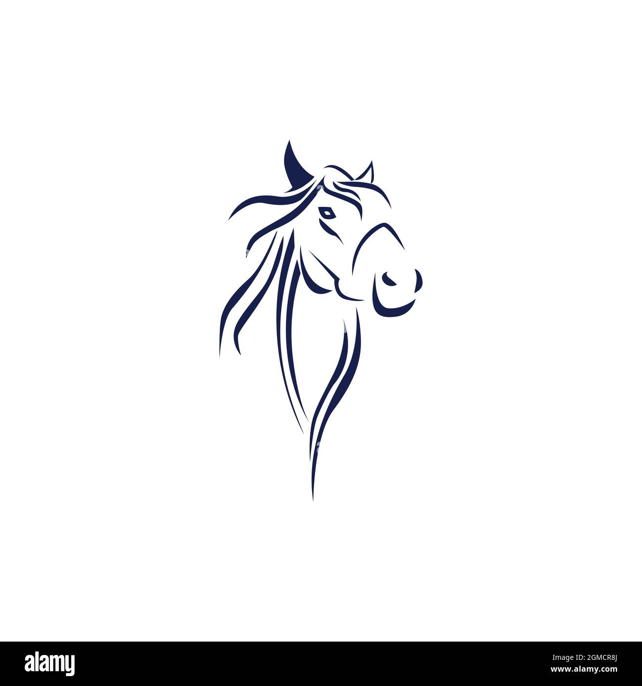 Cresta di cavallo selvaggio immagini e fotografie stock ad alta ...