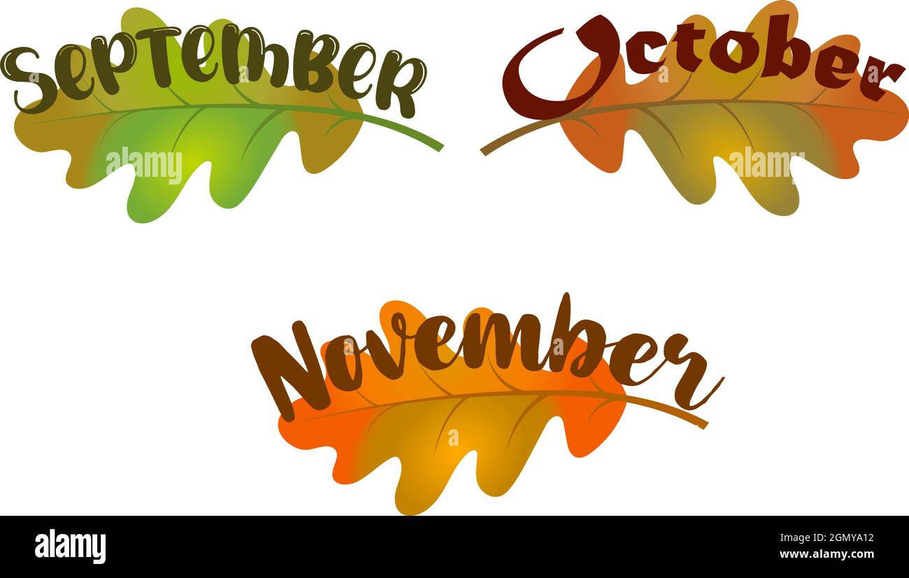 Bella composizione con foglie di quercia colorate a gradiente e ...