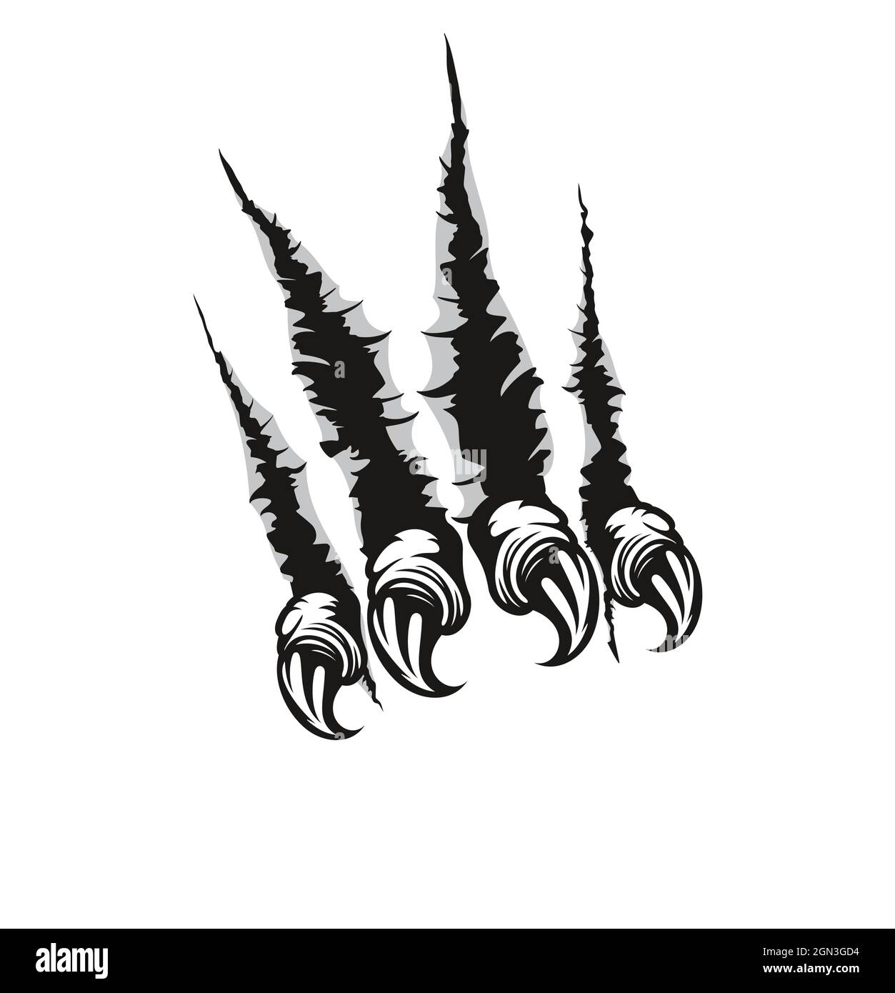 Graffiature e segni di griffa Monster. Zampa vettoriale animale di ...