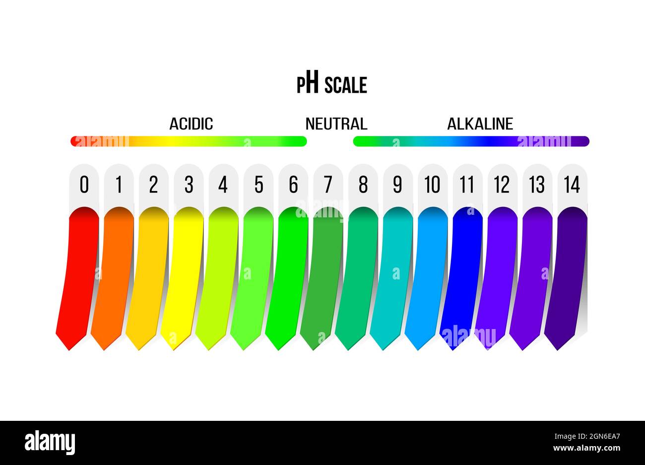 Scala pH. Indicatore di acidità, alcalinità e soluzione neutra ...