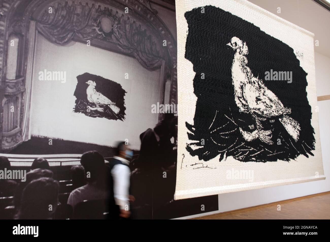 Colomba della pace picasso immagini e fotografie stock ad alta ...