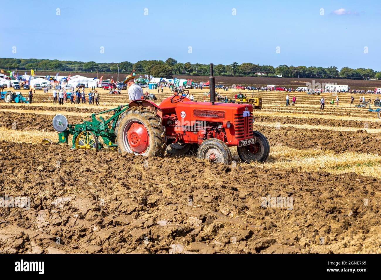Mccormick international b275 trattore immagini e fotografie stock ad ...