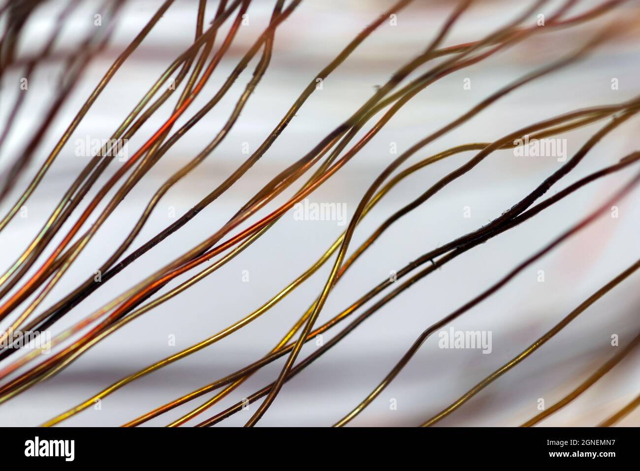 Fili conduttori immagini e fotografie stock ad alta risoluzione - Alamy