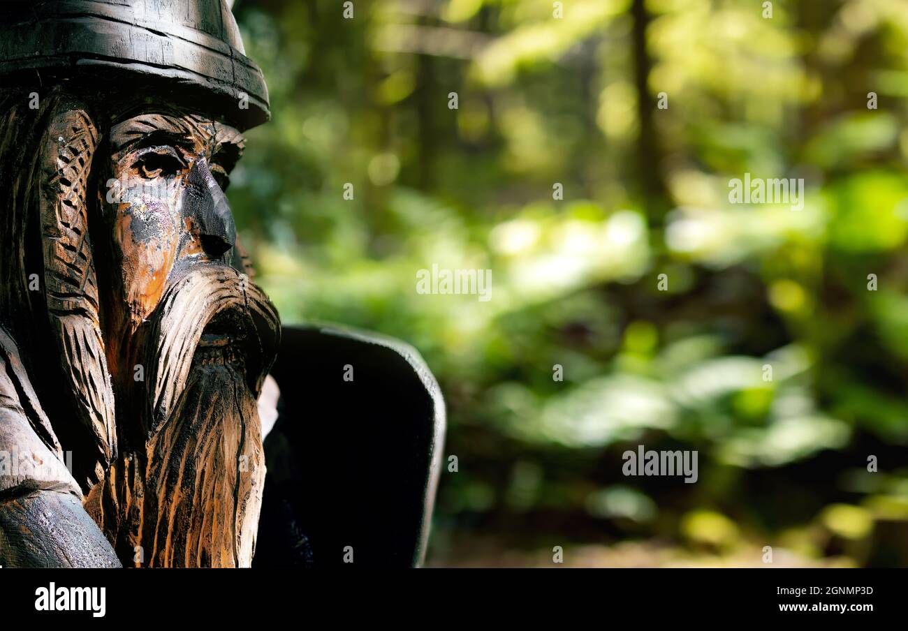 Treccia vichinga immagini e fotografie stock ad alta risoluzione - Alamy
