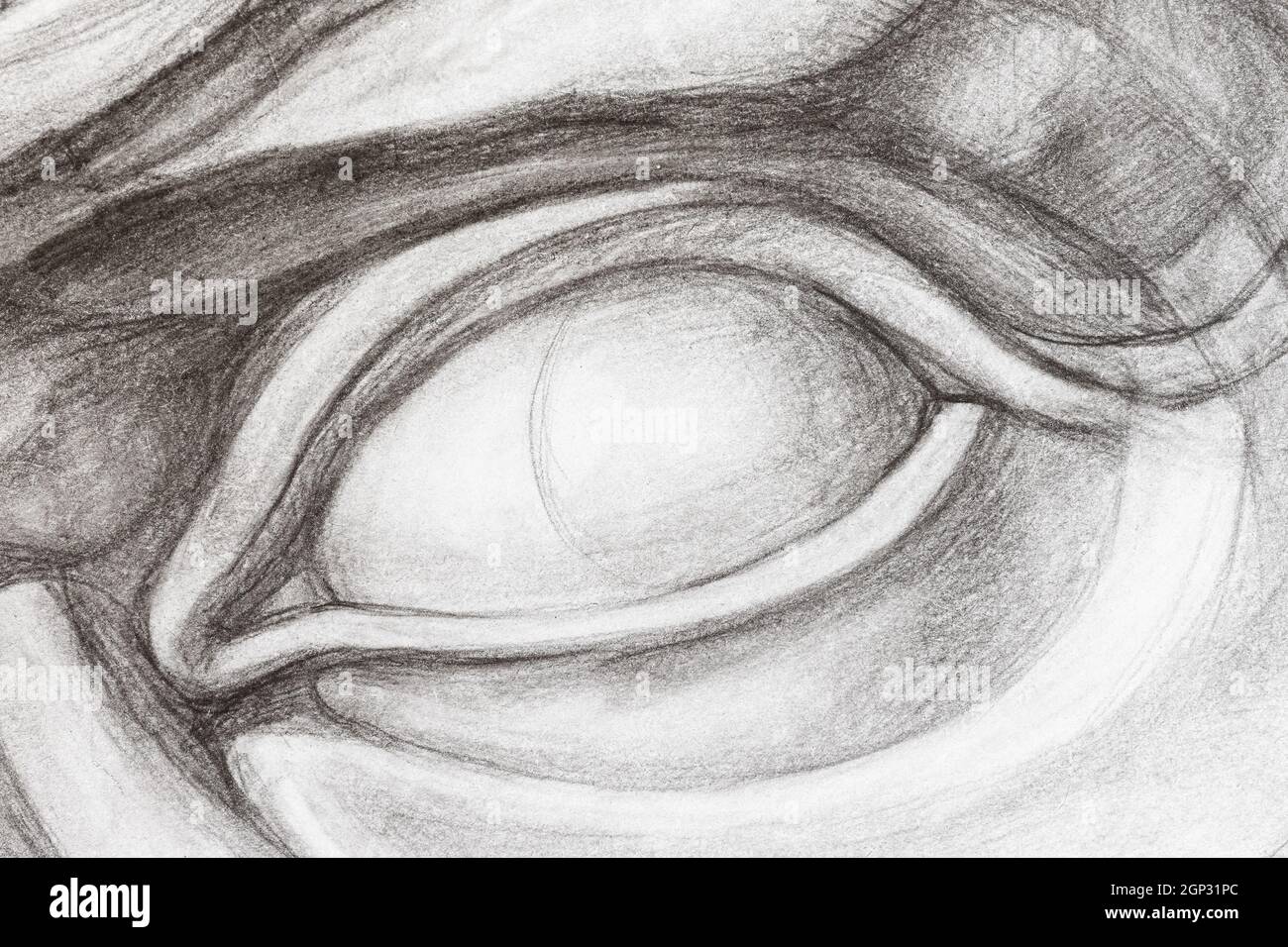 Disegno accademico - intonaco cast frammento del volto di David con ...