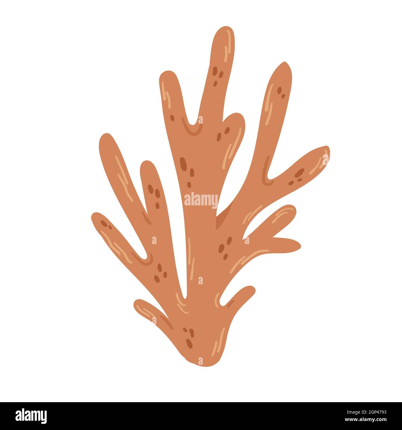 Costa della barriera corallina Immagini Vettoriali Stock - Alamy