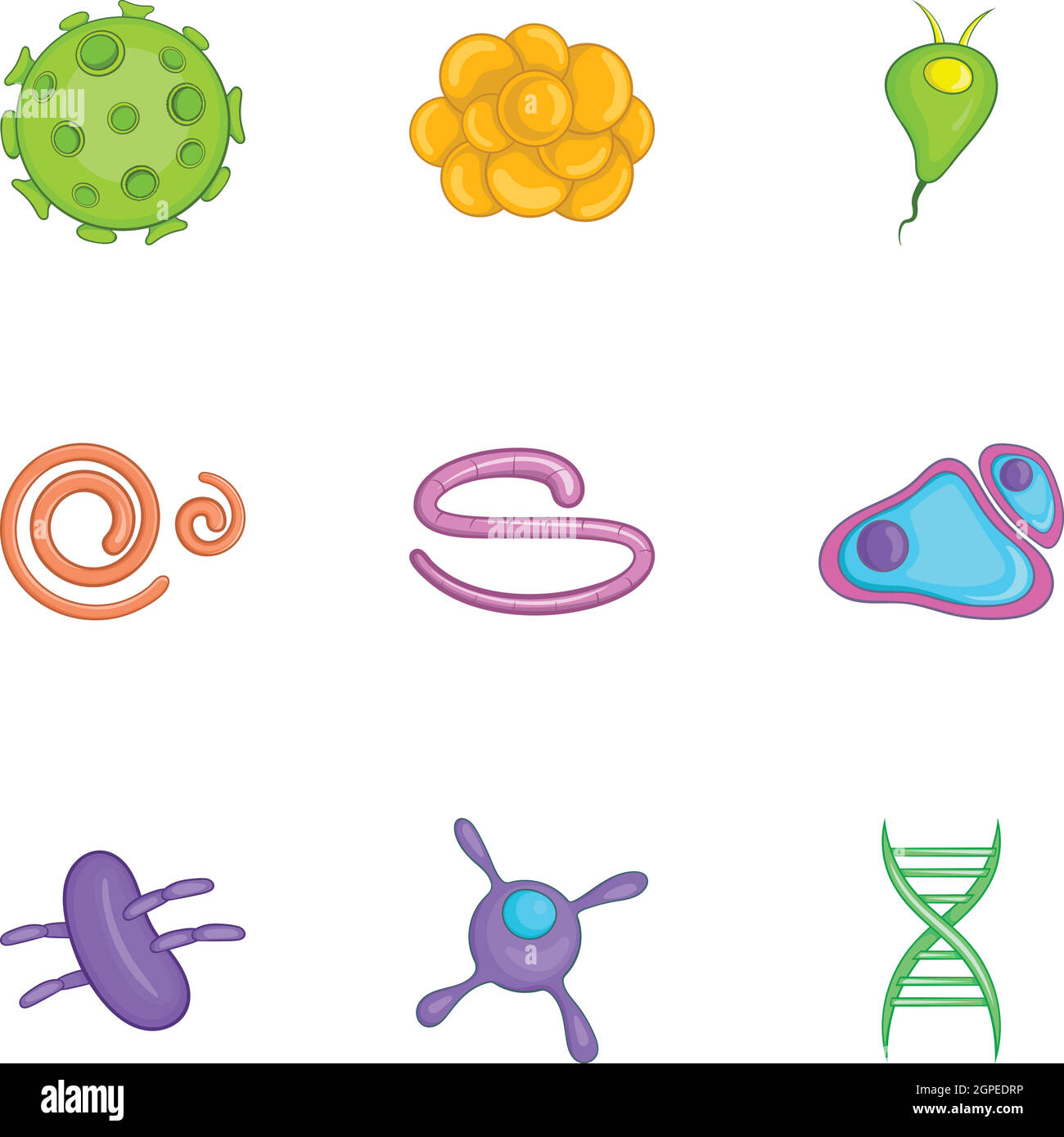 Cells cartoon Immagini Vettoriali Stock - Alamy