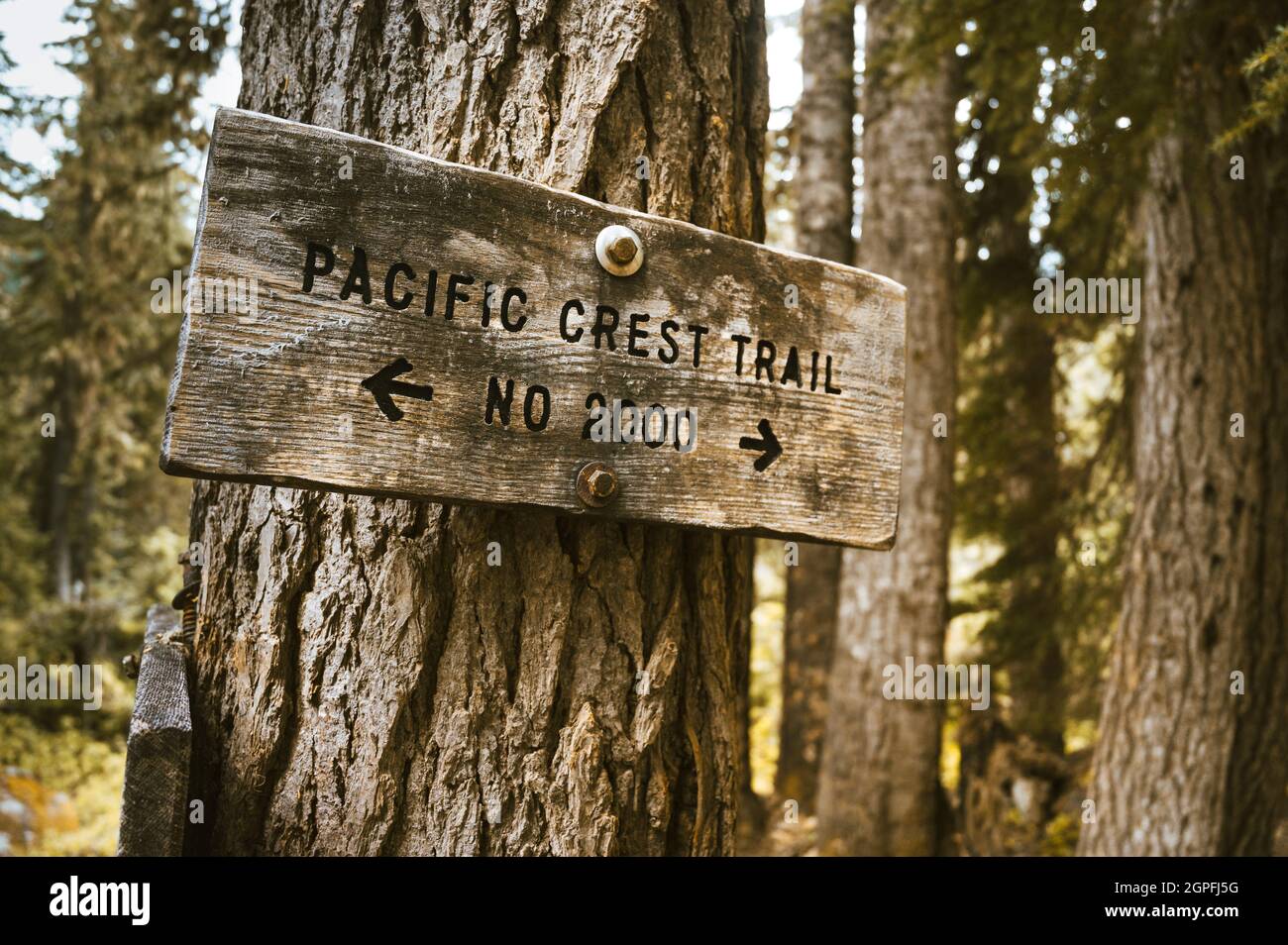 Sentiero panoramico sulla cresta pacifica immagini e fotografie stock ...